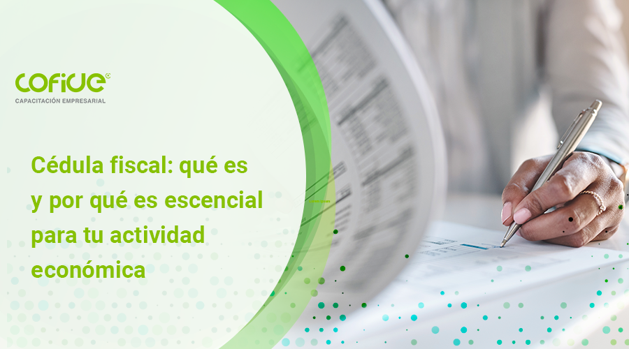 Cédula fiscal: qué es y por qué es esencial para tu actividad económica